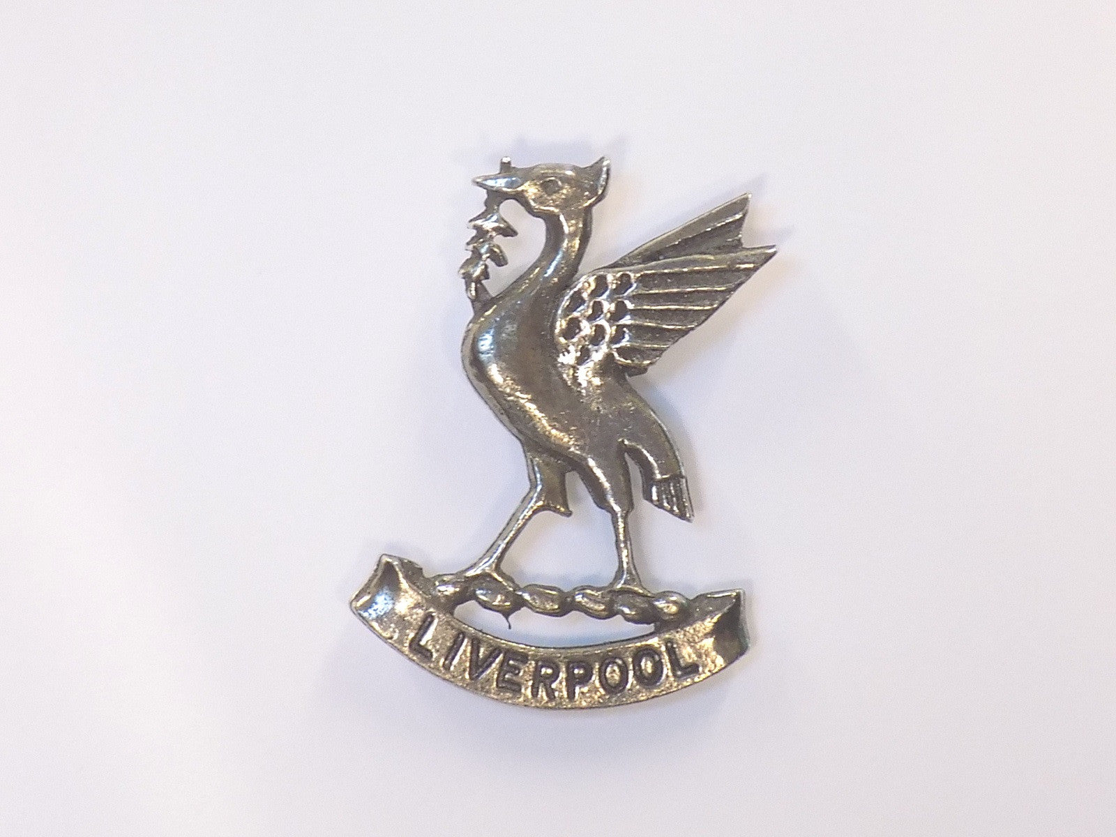Liverbird Pewter Fridge Magnet – Liverpool Cathedral